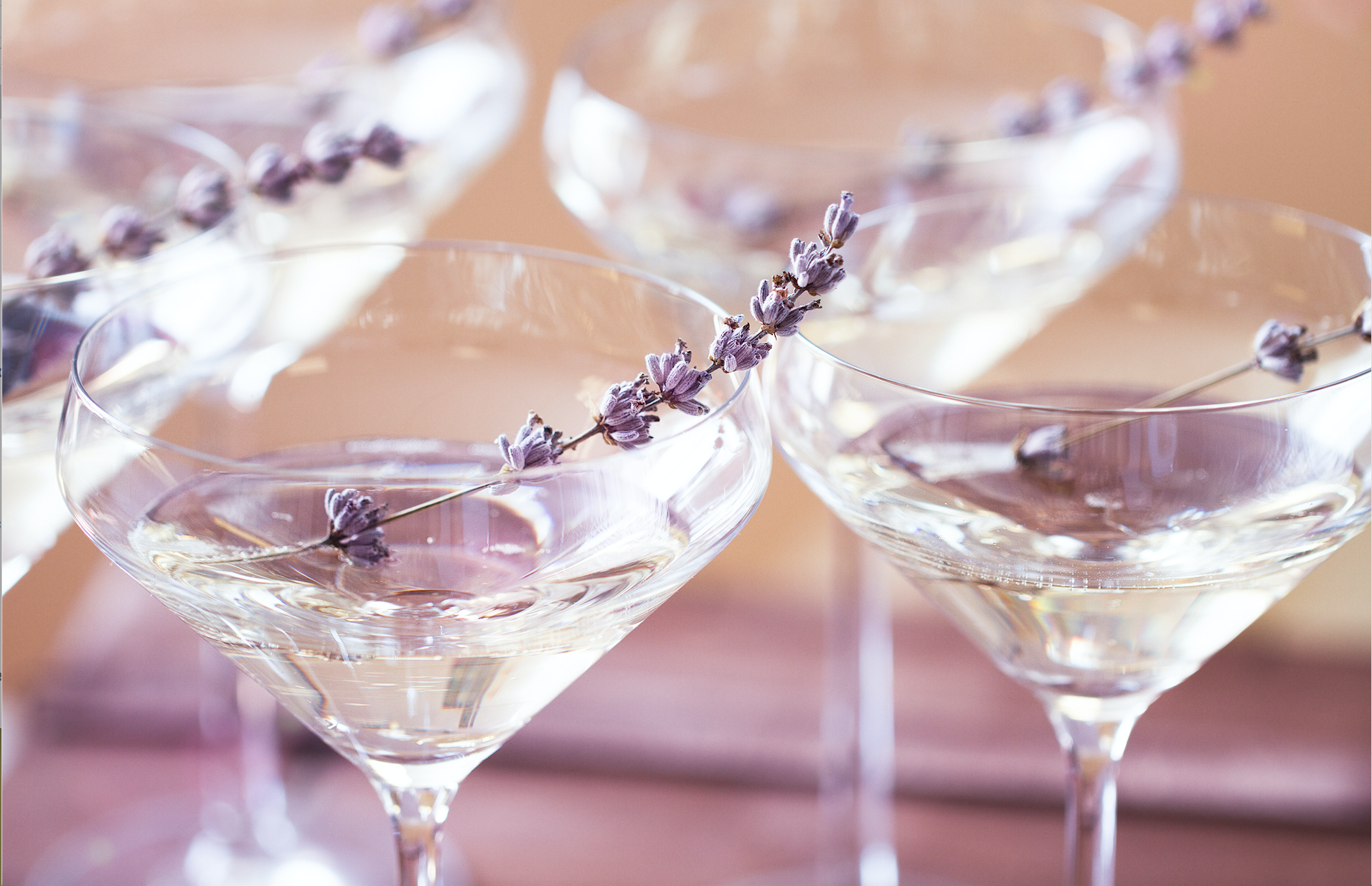 The Mindfulness of Champagne - Tasting the Stars